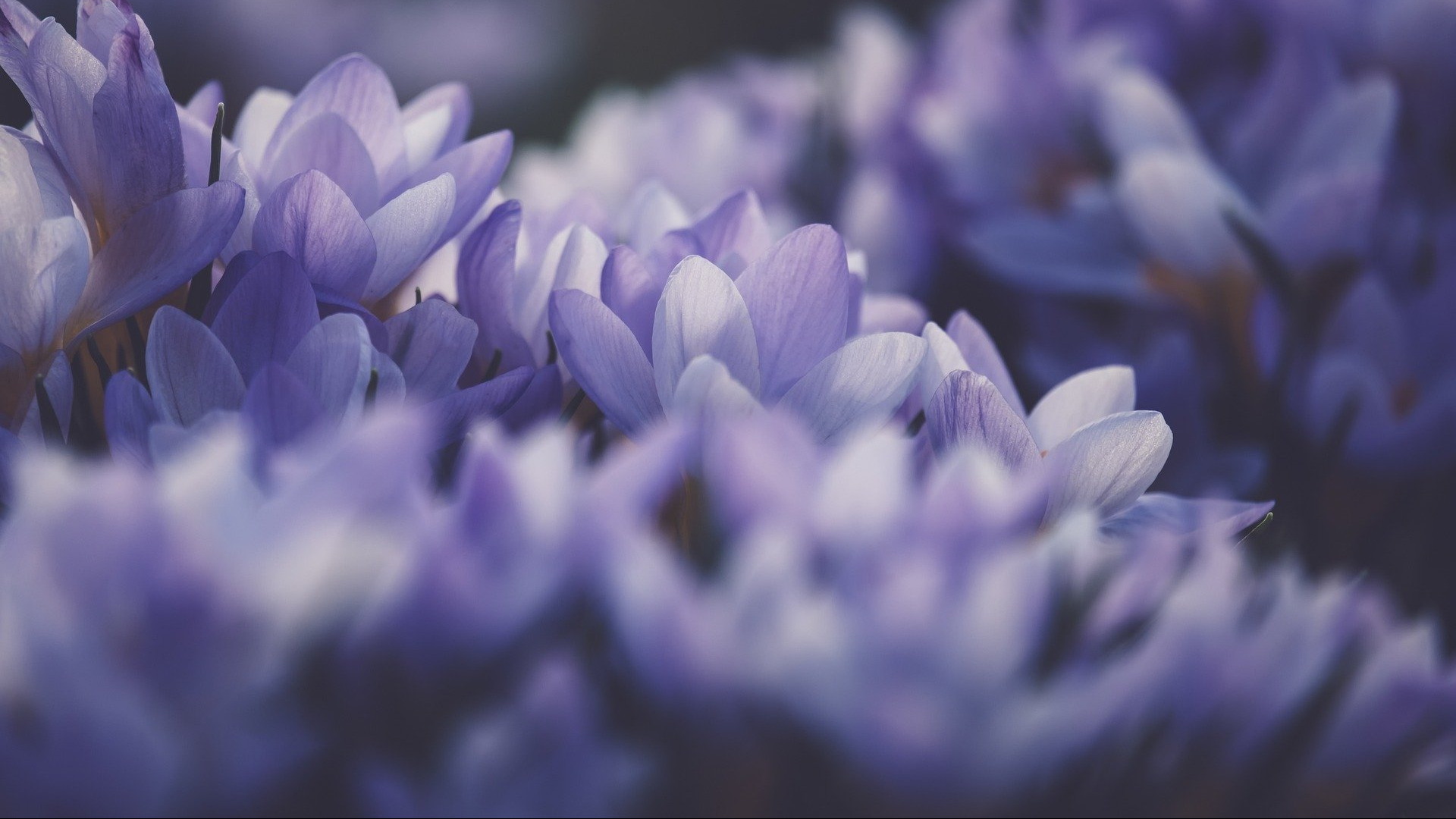 Elena BERNABÈ: Le billet spécial. – Andree Boulay Blogue