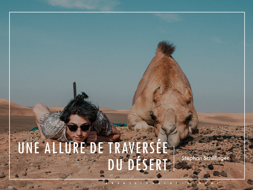 Stephan SCHILLINGER: Une allure de traversée du désert. – Andree Boulay ...