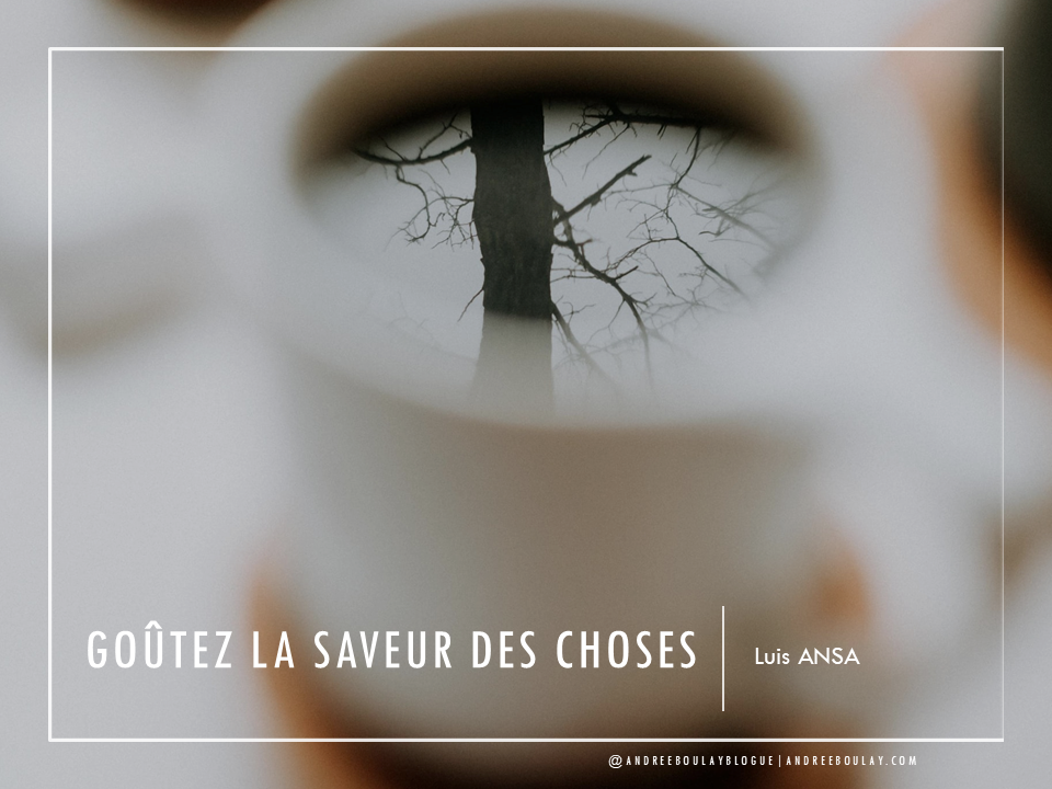 Luis ANSA: Goûtez la saveur des choses. – Andree Boulay Blogue