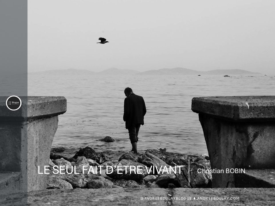 Christian BOBIN | Le seul fait d’être vivant. – Andree Boulay Blogue